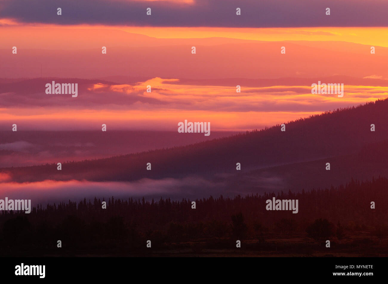 Swedish wilderness hi-res stock photography and images - Alamy