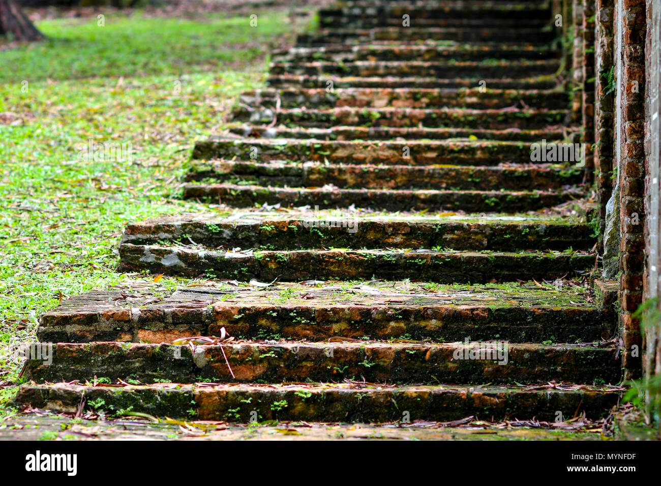 Concrete relief carving hi-res stock photography and images - Alamy