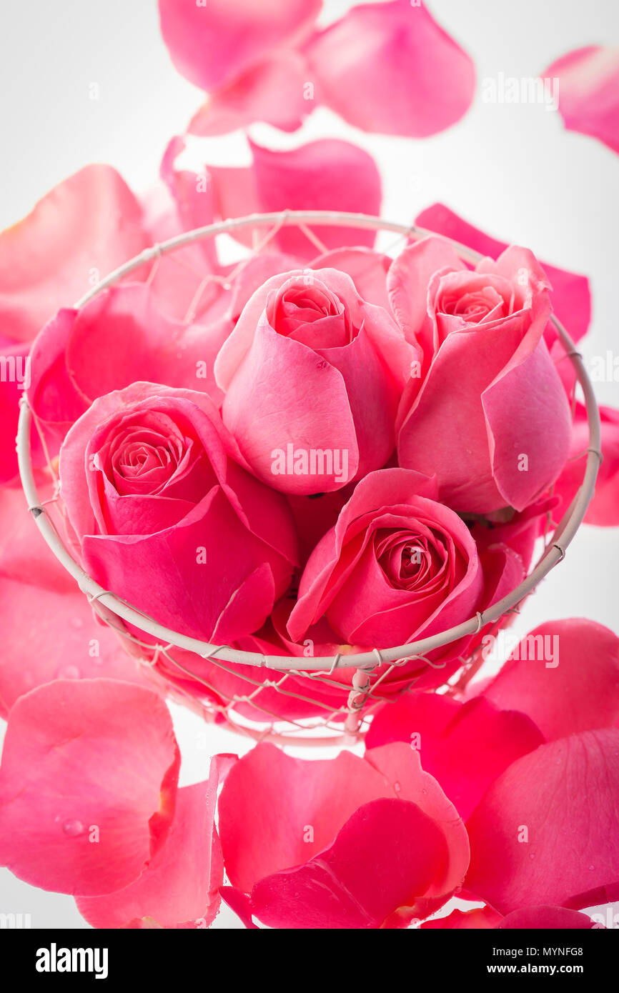 192 red hi-res stock photography and images - Alamy