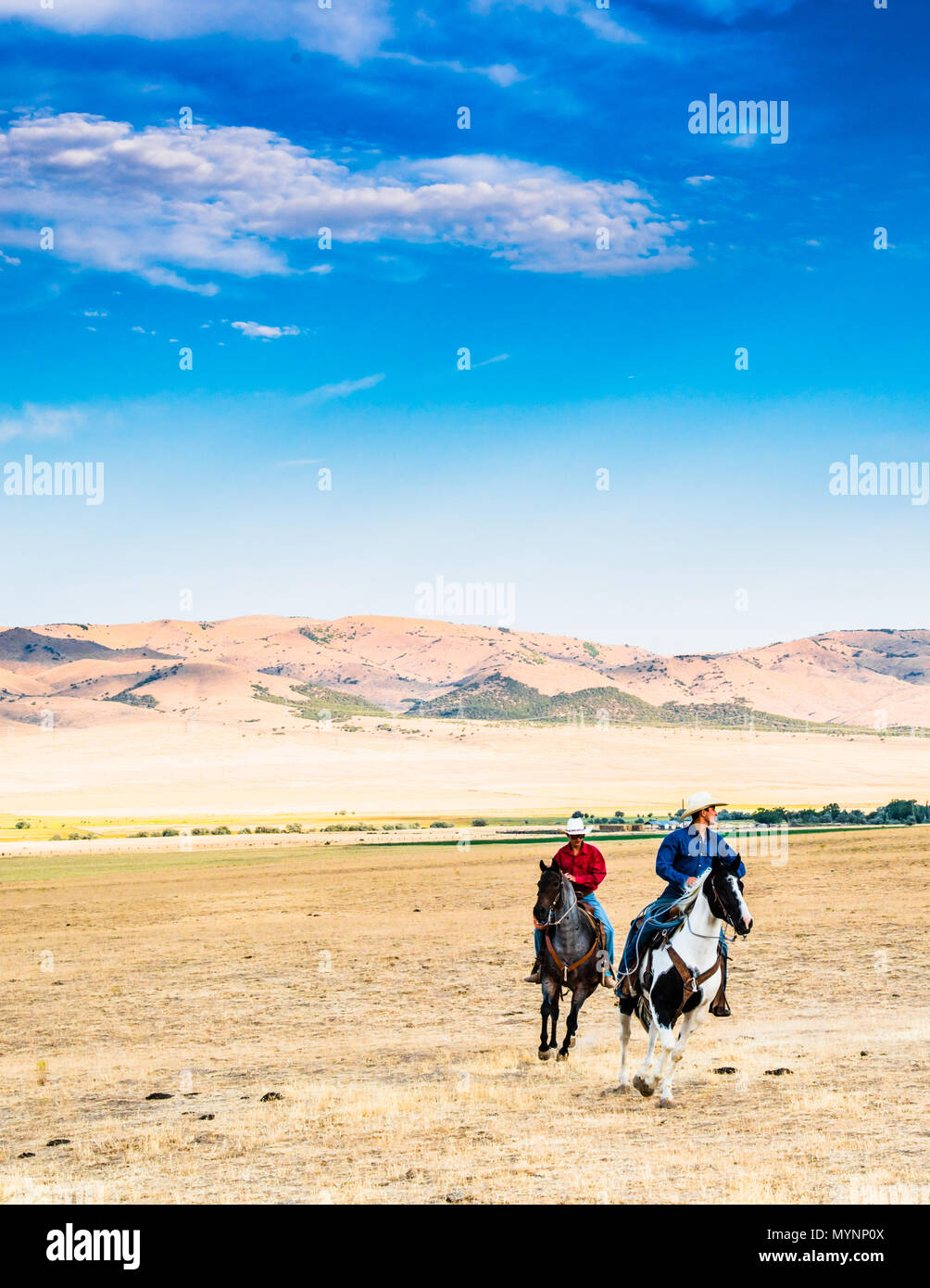 Two cowboys riding horses hi-res stock photography and images - Alamy