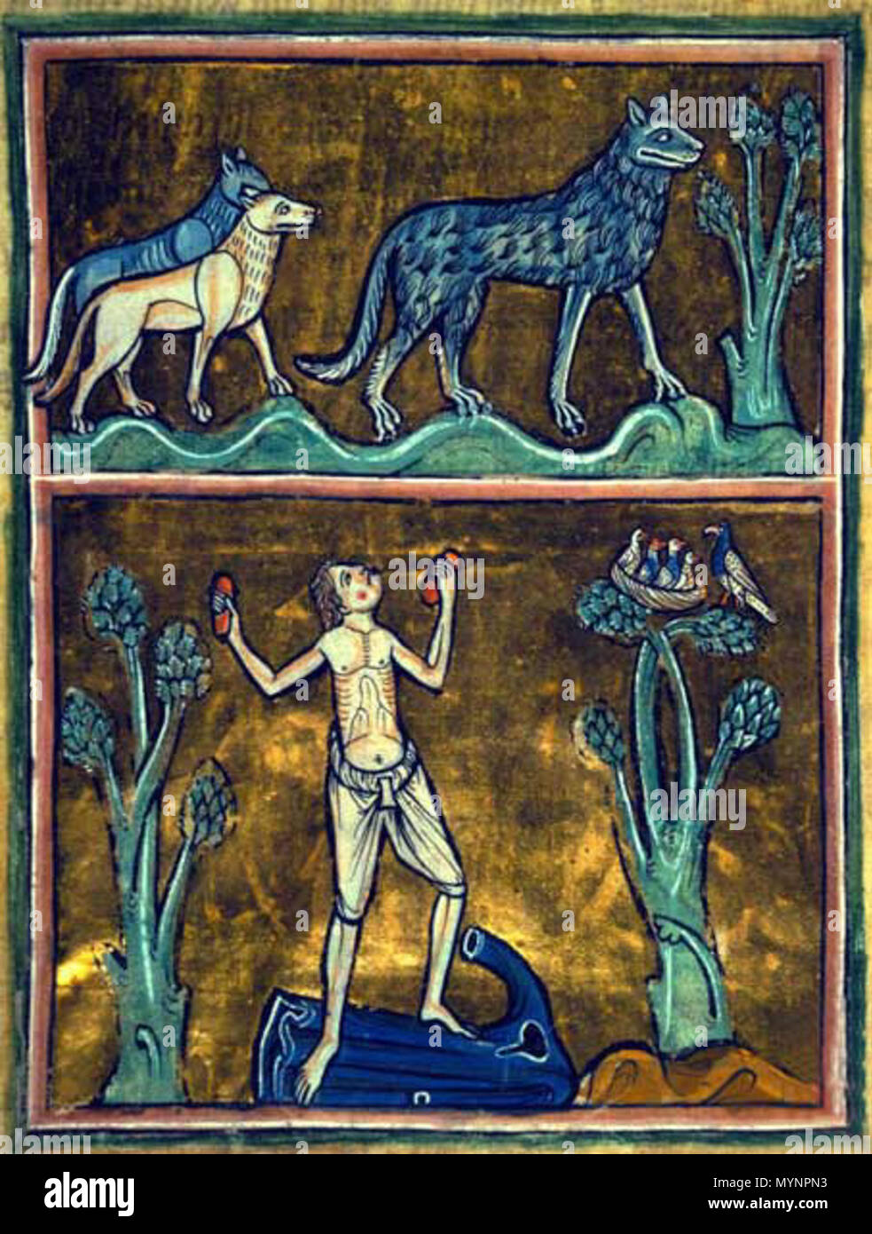. Folio 29r from a 13th century Bestiary, The Rochester Bestiary 458 ...
