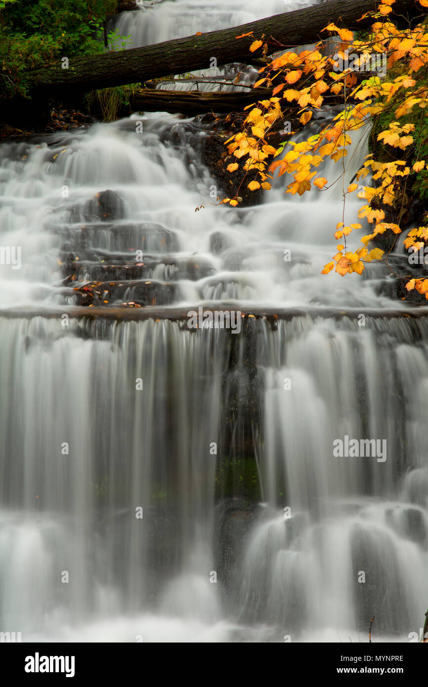 Wagner Falls, Wagner Falls Scenic Site, Michigan Stock Photo - Alamy