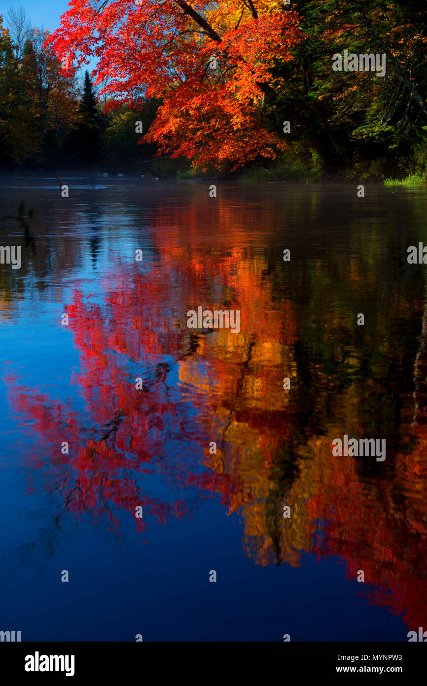 Manistique River, Seney National Wildlife Refuge, Michigan Stock Photo ...