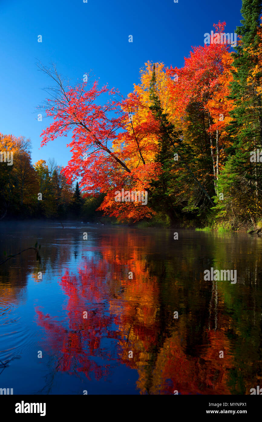 Seney hi-res stock photography and images - Alamy