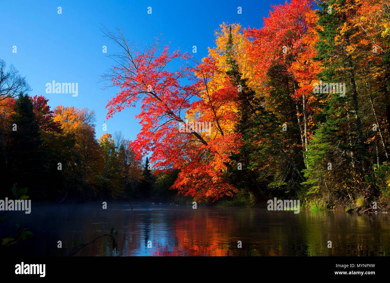 Seney national wildlife refuge hi-res stock photography and images - Alamy