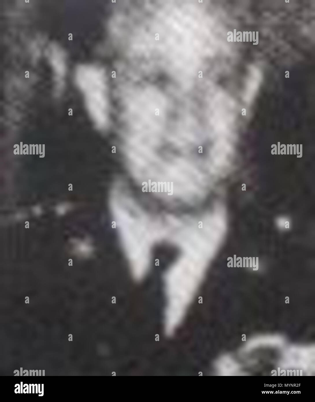 General gustavo rojas pinilla hi-res stock photography and images - Alamy