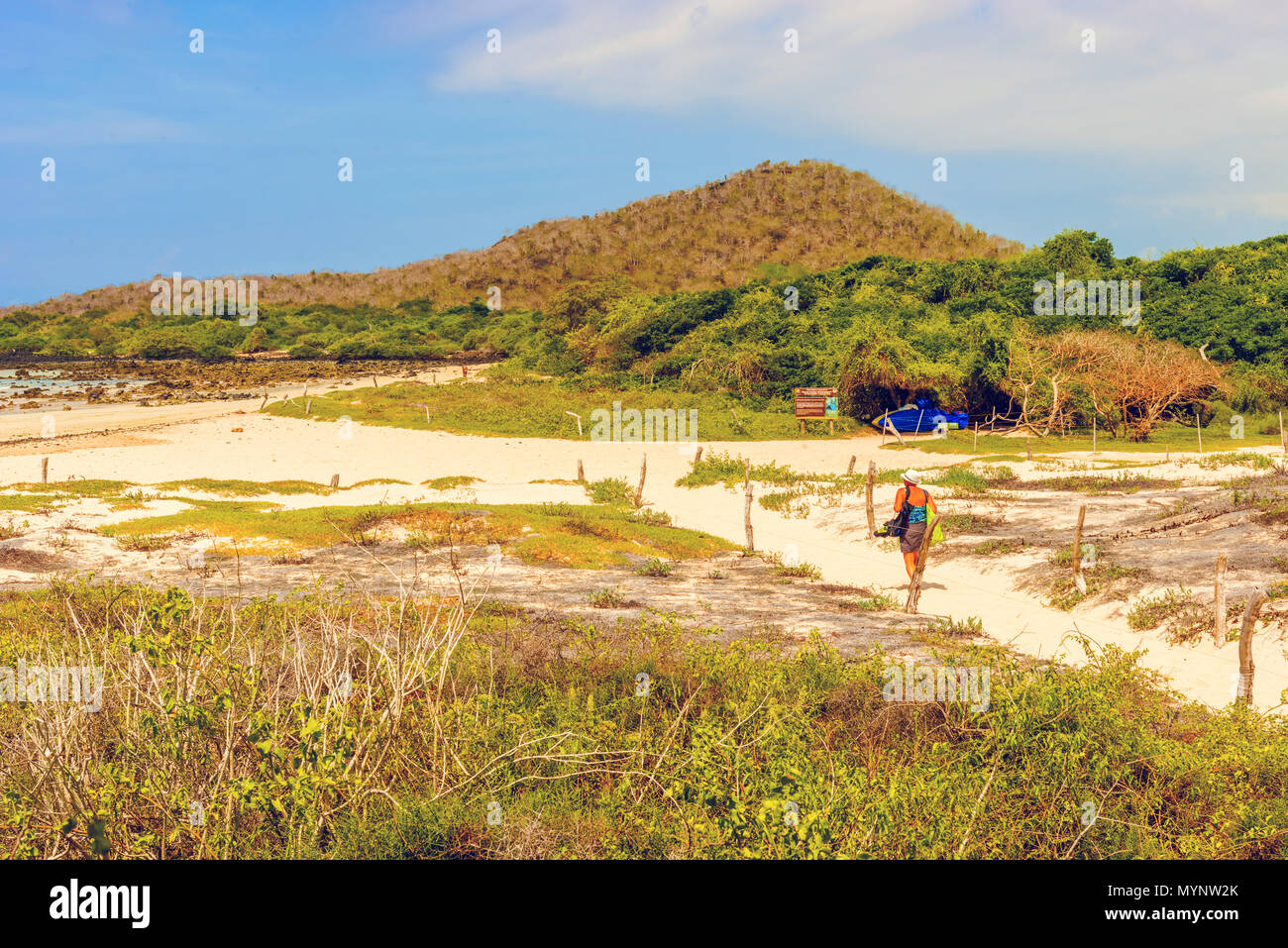 Santa Cruz Island, Galapagos, Ecuador - April 11, 2016: Tourists ...