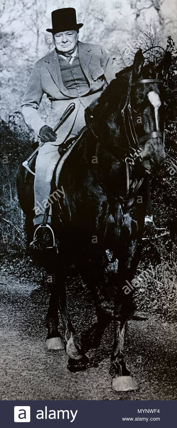 Winston Churchill Horse Stock Photos & Winston Churchill Horse Stock ...