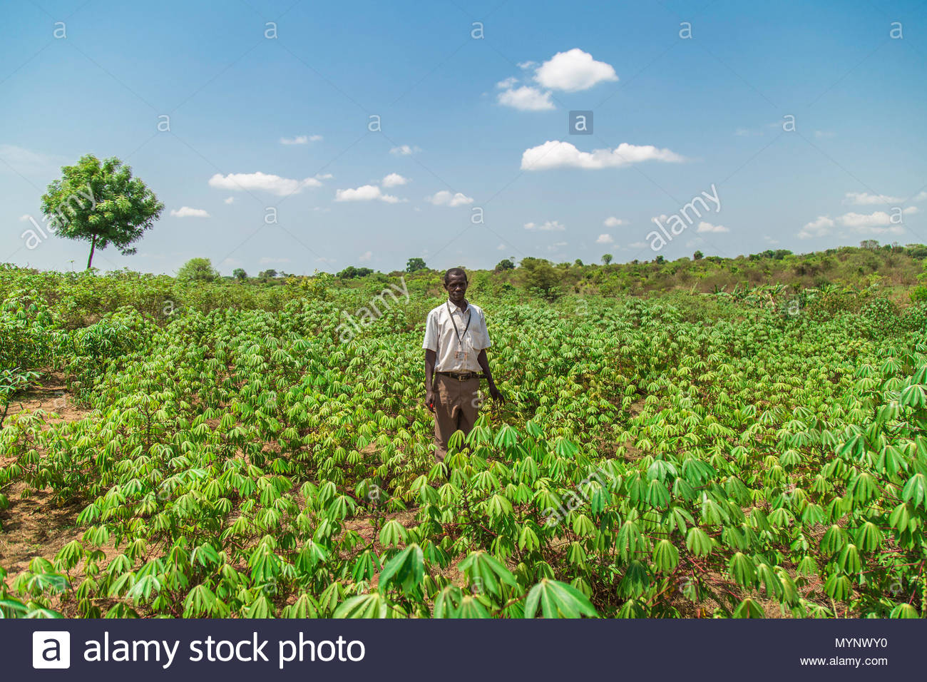 African Farming, Africa Stock Photos & African Farming, Africa Stock ...