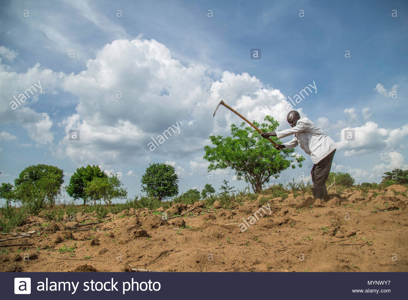 Ploughing Africa Stock Photos & Ploughing Africa Stock Images - Alamy