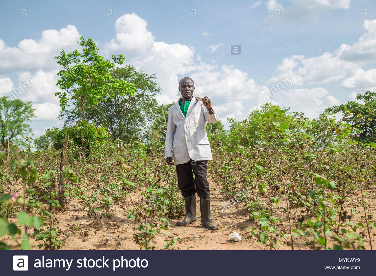 Subsistence Farmer Subsistence Farming Stock Photos & Subsistence ...