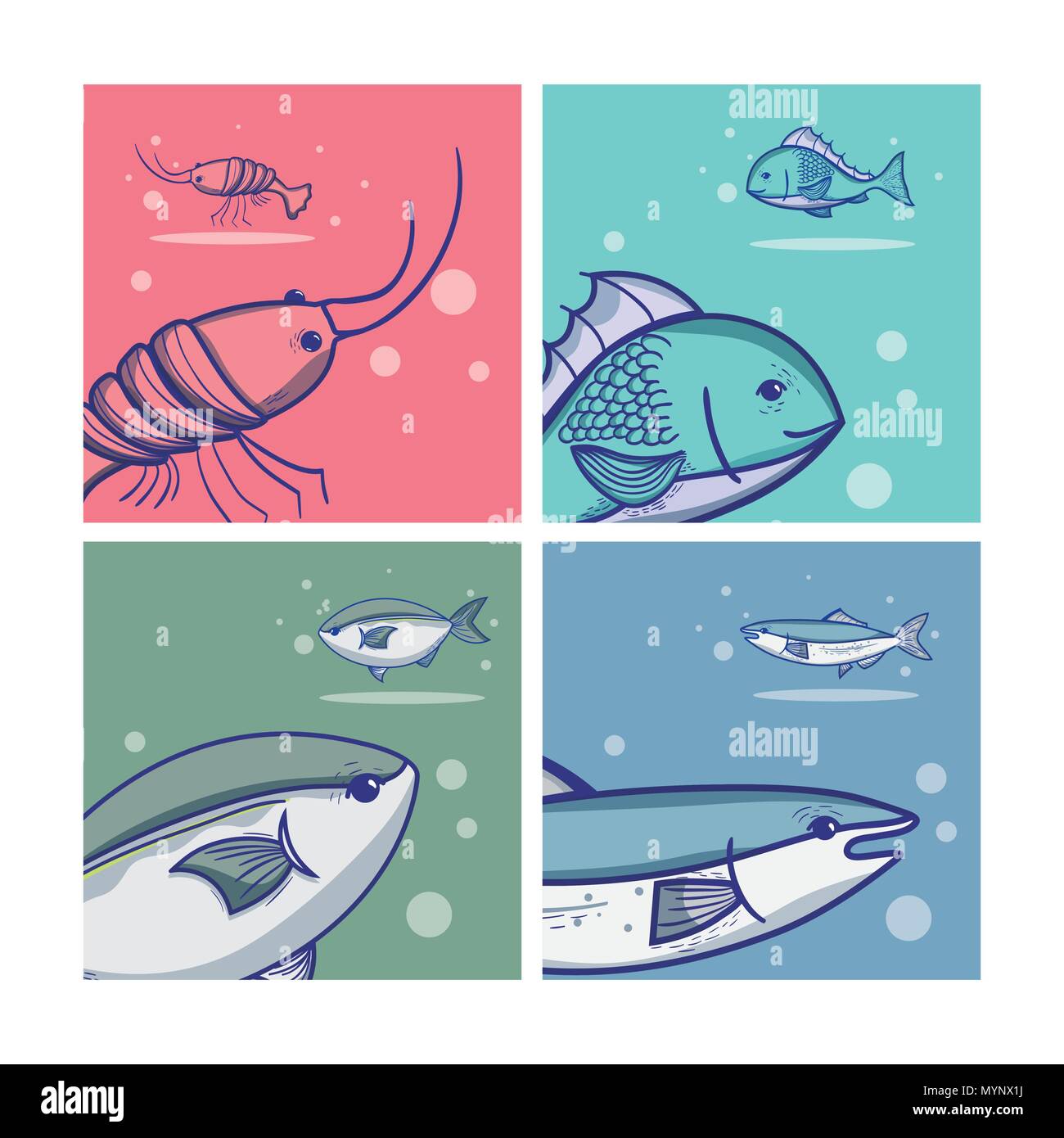 Freshwater fish types illustration Stock Vector Images - Alamy