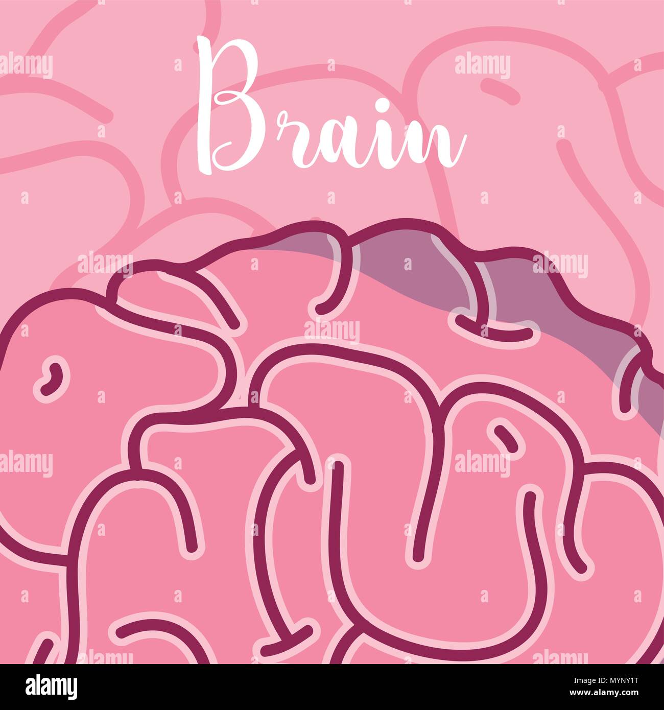 Brain and intelligence concept Stock Vector Image & Art - Alamy