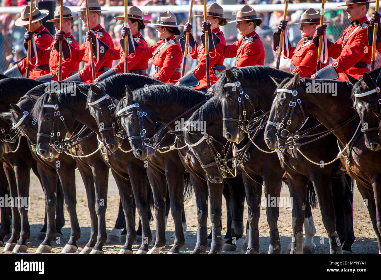 Royal Canadian Mounted Police RCMP musical ride. Beachburg Ontario ...