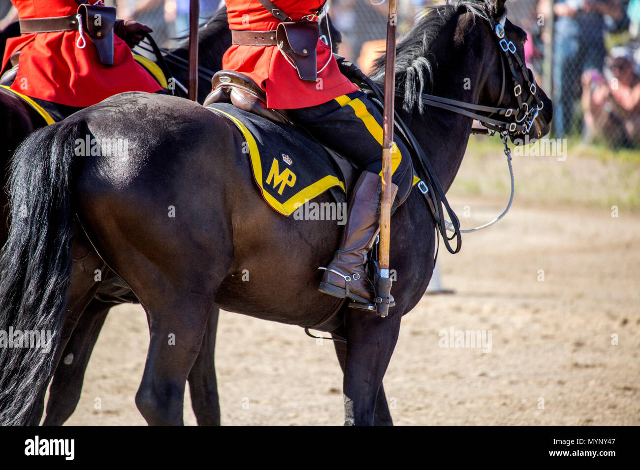 Royal Canadian Mounted Police RCMP musical ride. Beachburg Ontario ...