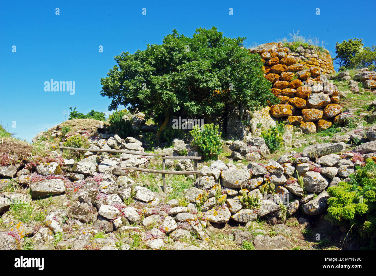 Macomer, Sardinia, Italy. Tamuli archeological area Stock Photo - Alamy