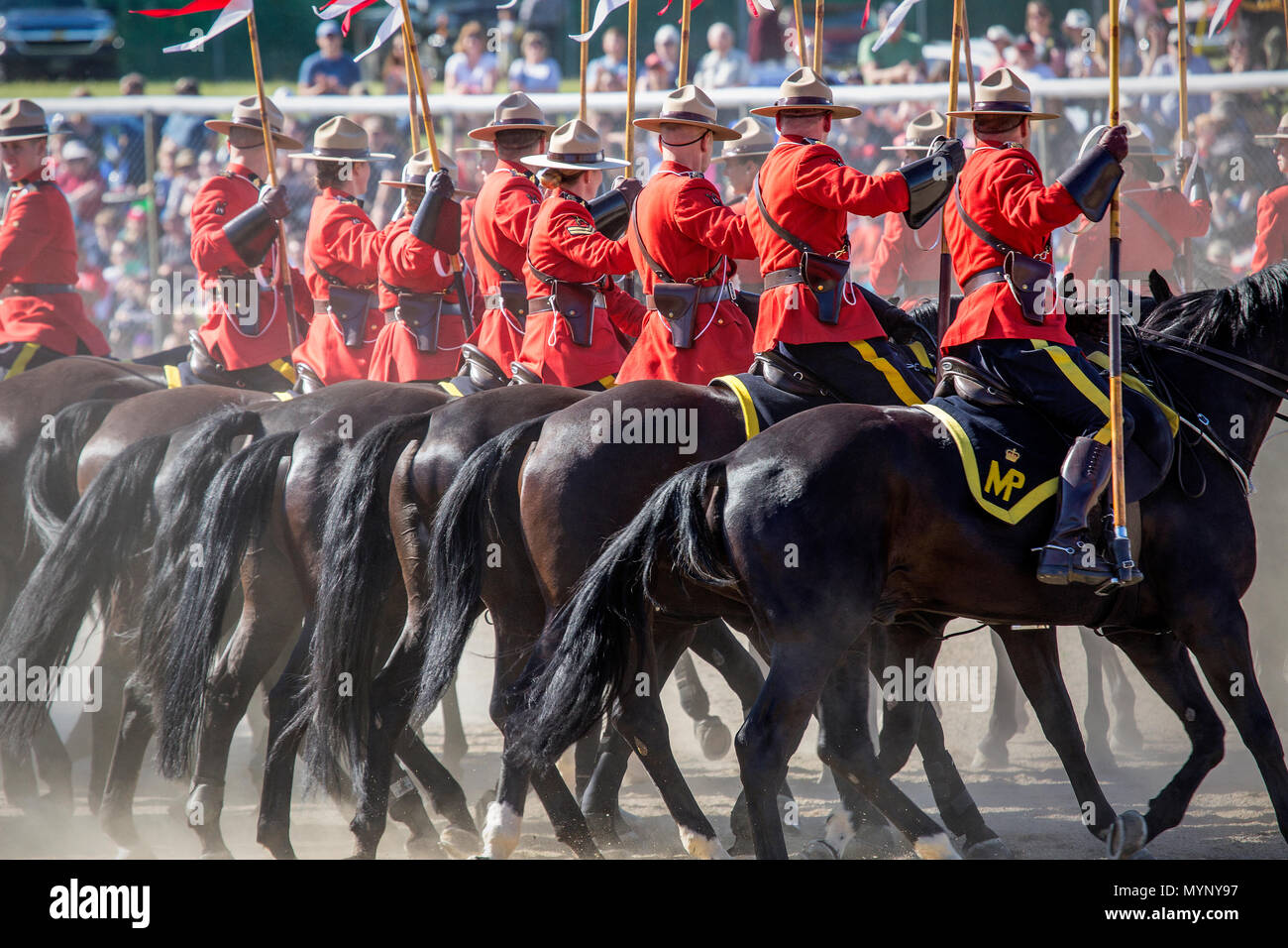 Royal Canadian Mounted Police RCMP musical ride. Beachburg Ontario ...