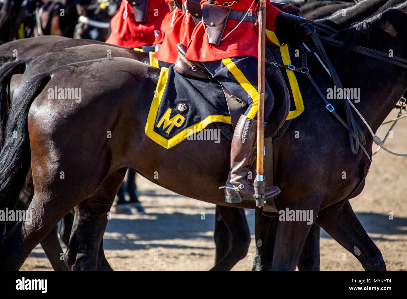 Royal Canadian Mounted Police RCMP musical ride. Beachburg Ontario ...