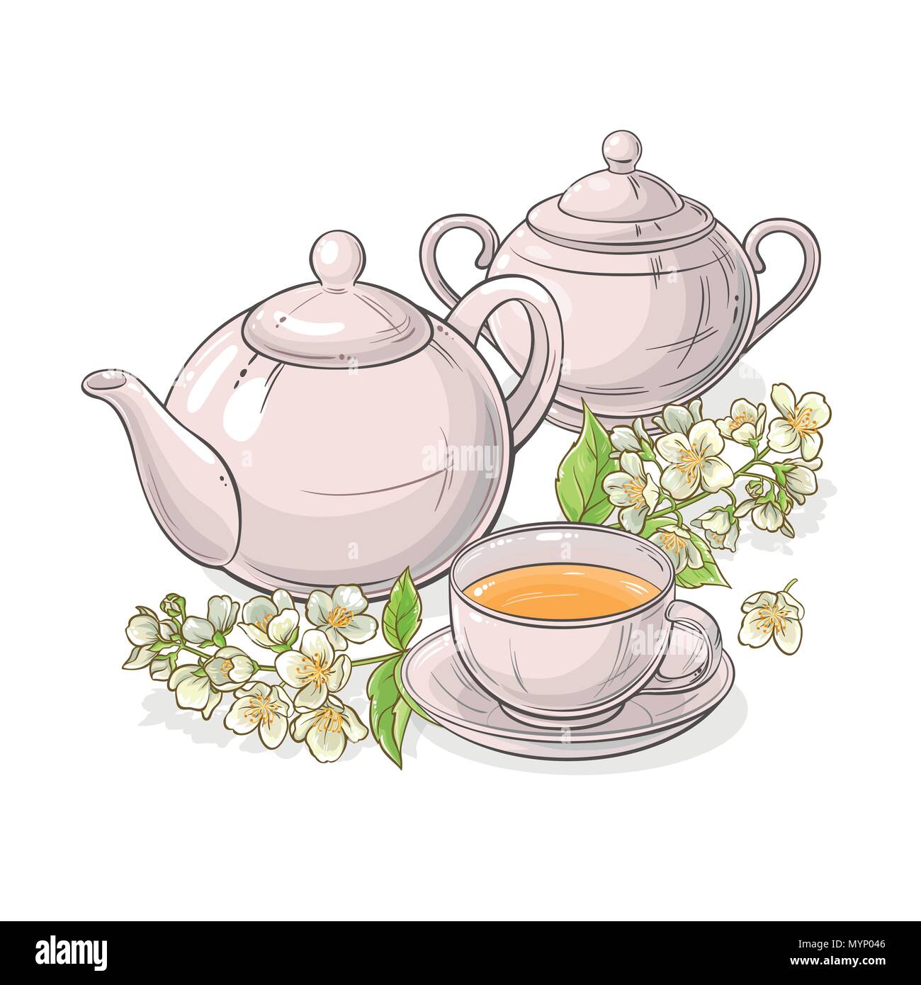 jasmine tea vector illustration on white background Stock Vector Image ...