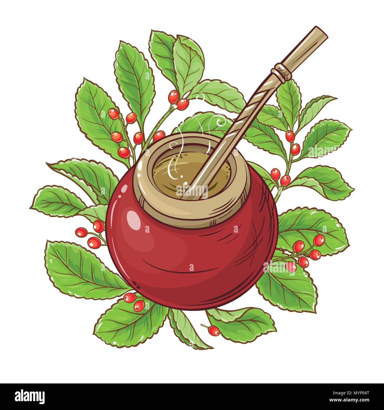 mate tea vector illustration on white background Stock Vector Image ...