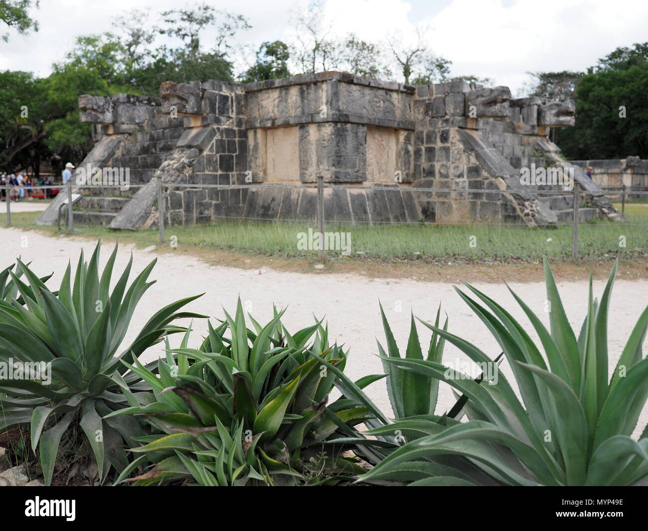 Ancient platform of Eagles and Jaguars building with agaves at Chichen ...