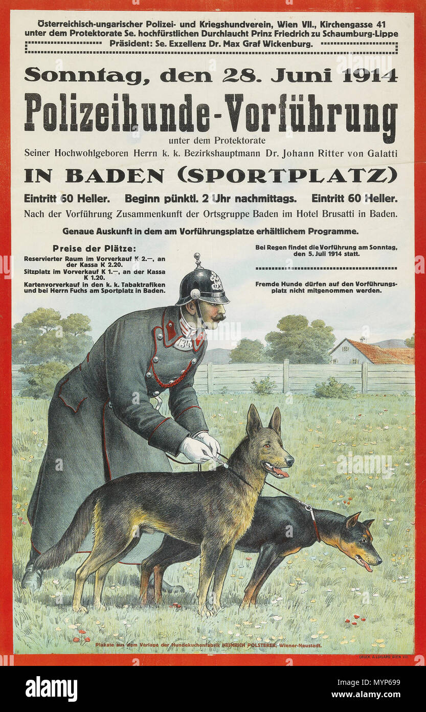 Polizeihunde hi-res stock photography and images - Alamy
