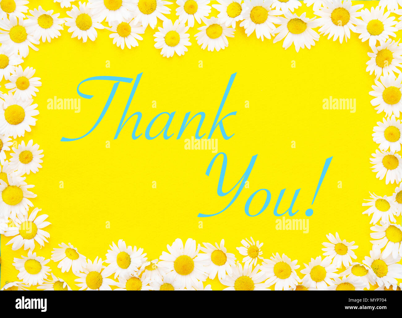 Thank You written on yellow background framed by white daisies Stock ...