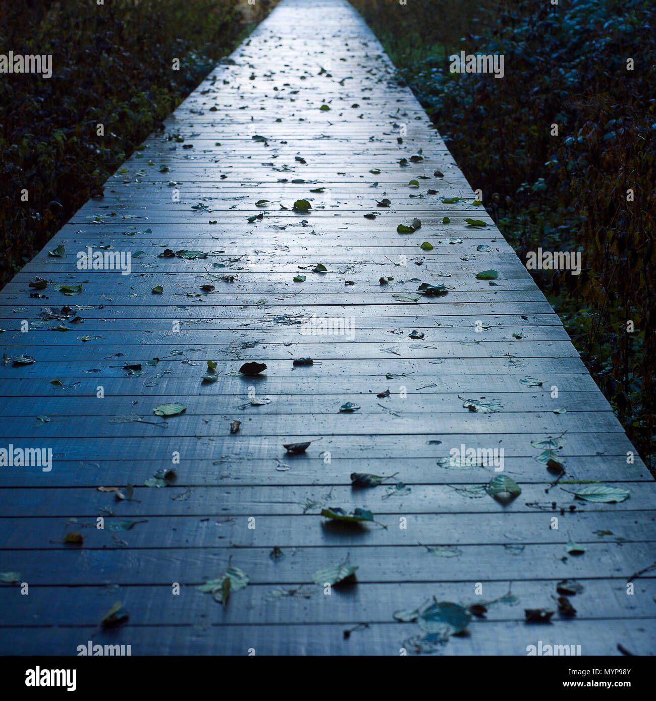 Timber pontoon hi-res stock photography and images - Alamy