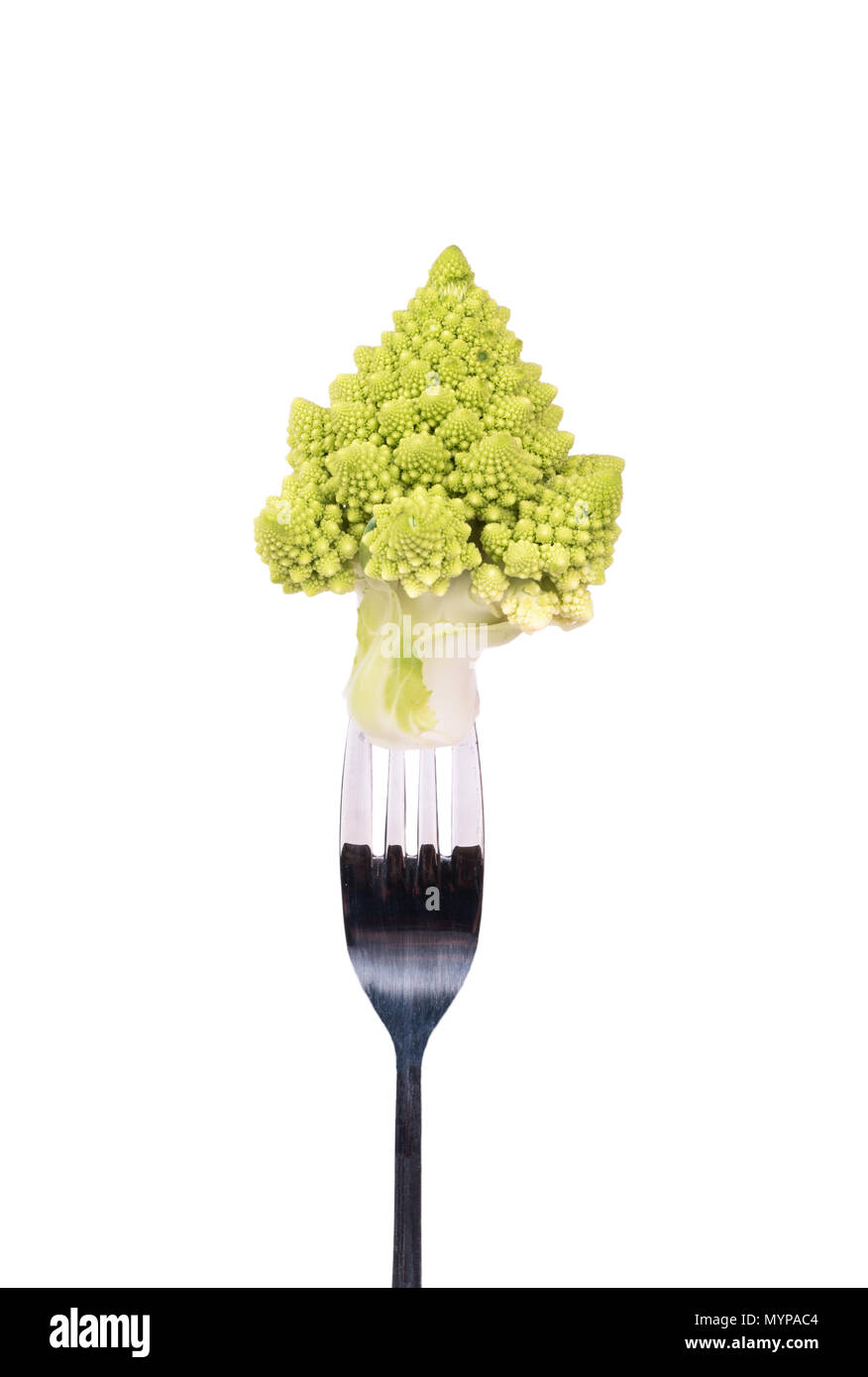 Sprig of fresh cabbage romanesco on a fork on a white background Stock ...