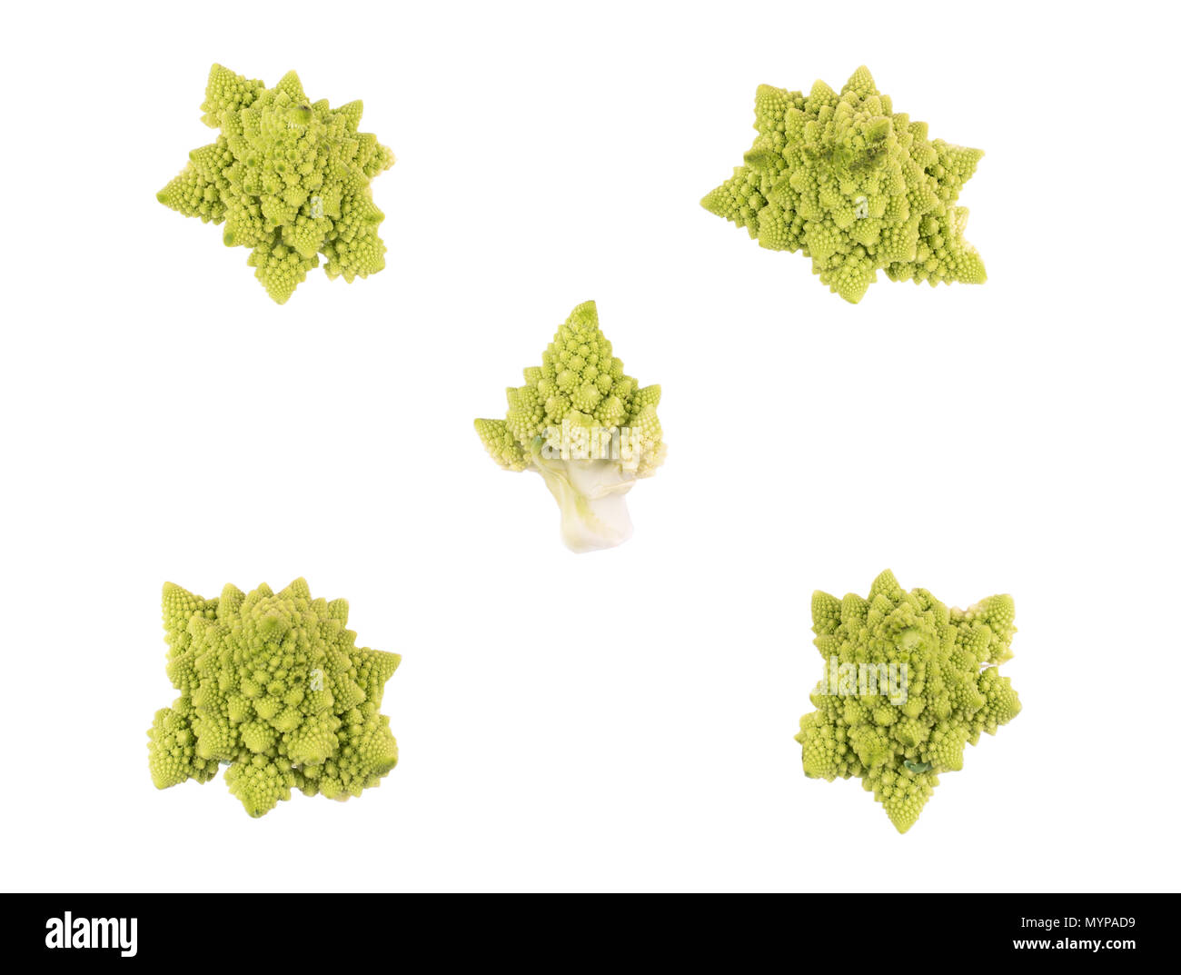 Collection of five different branches of fresh Romanesco cabbage ...
