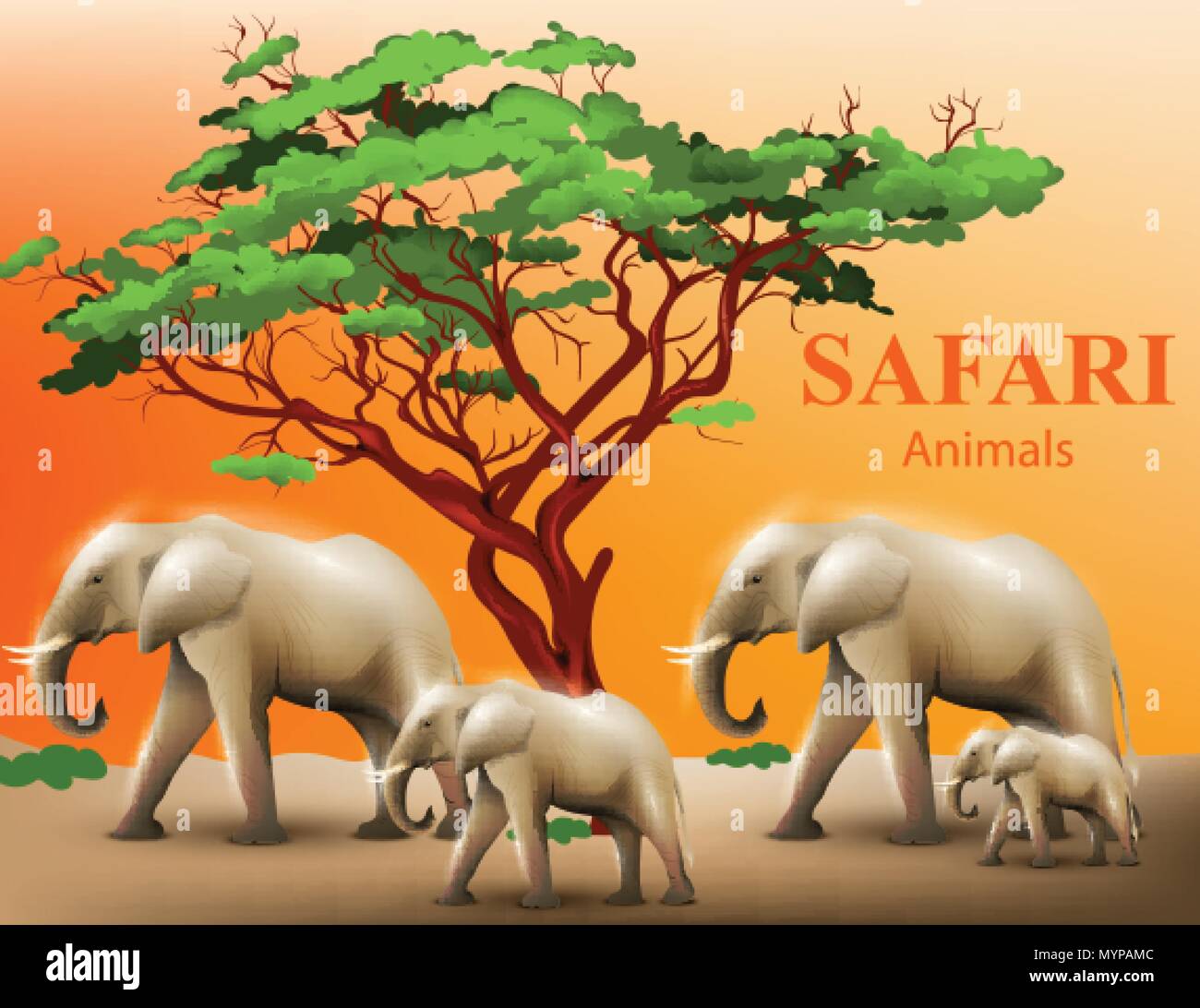 Elephants safari background Vector illustration wildlife template Stock ...