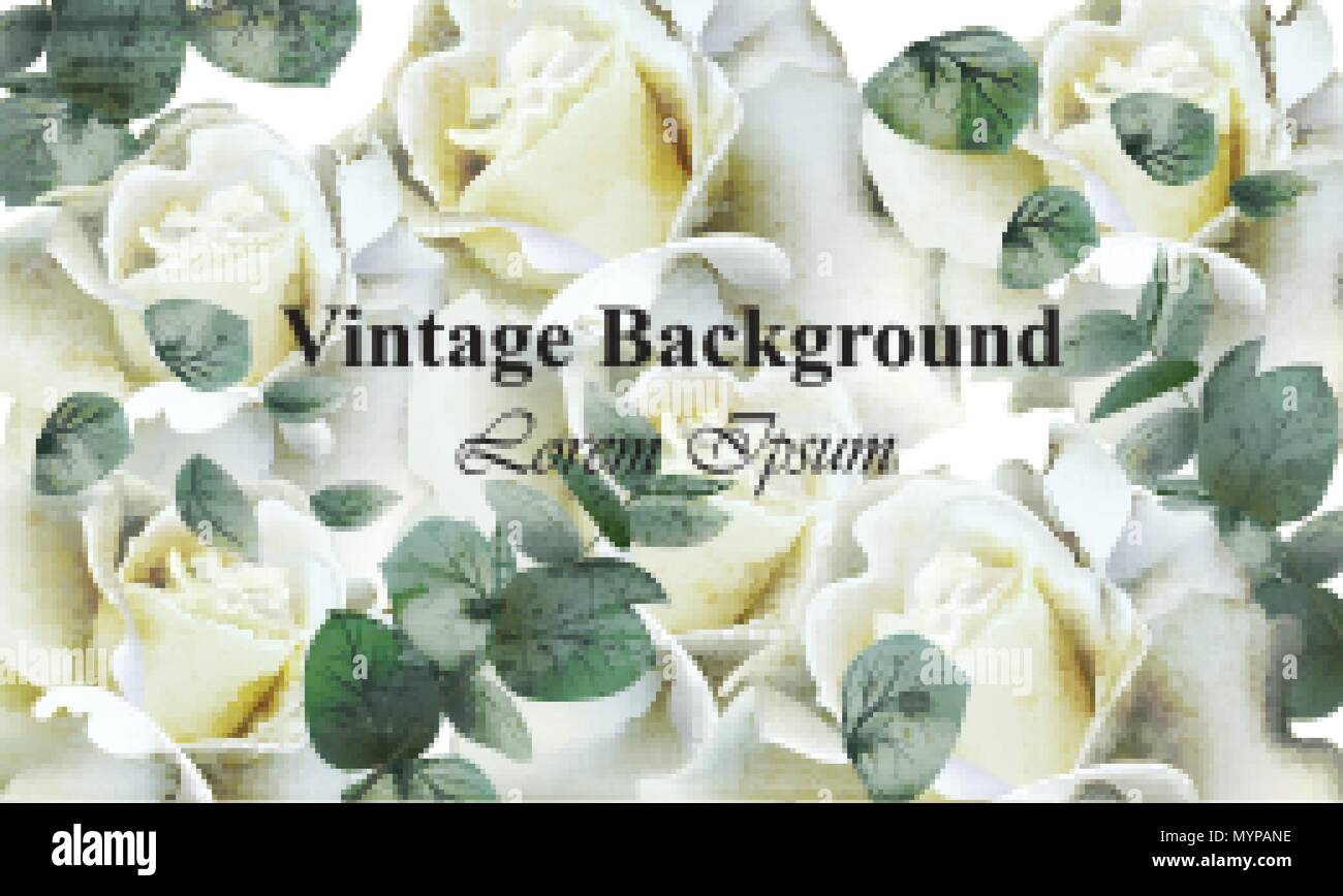 Vintage white roses background Vector. Retro floral design Stock Vector ...