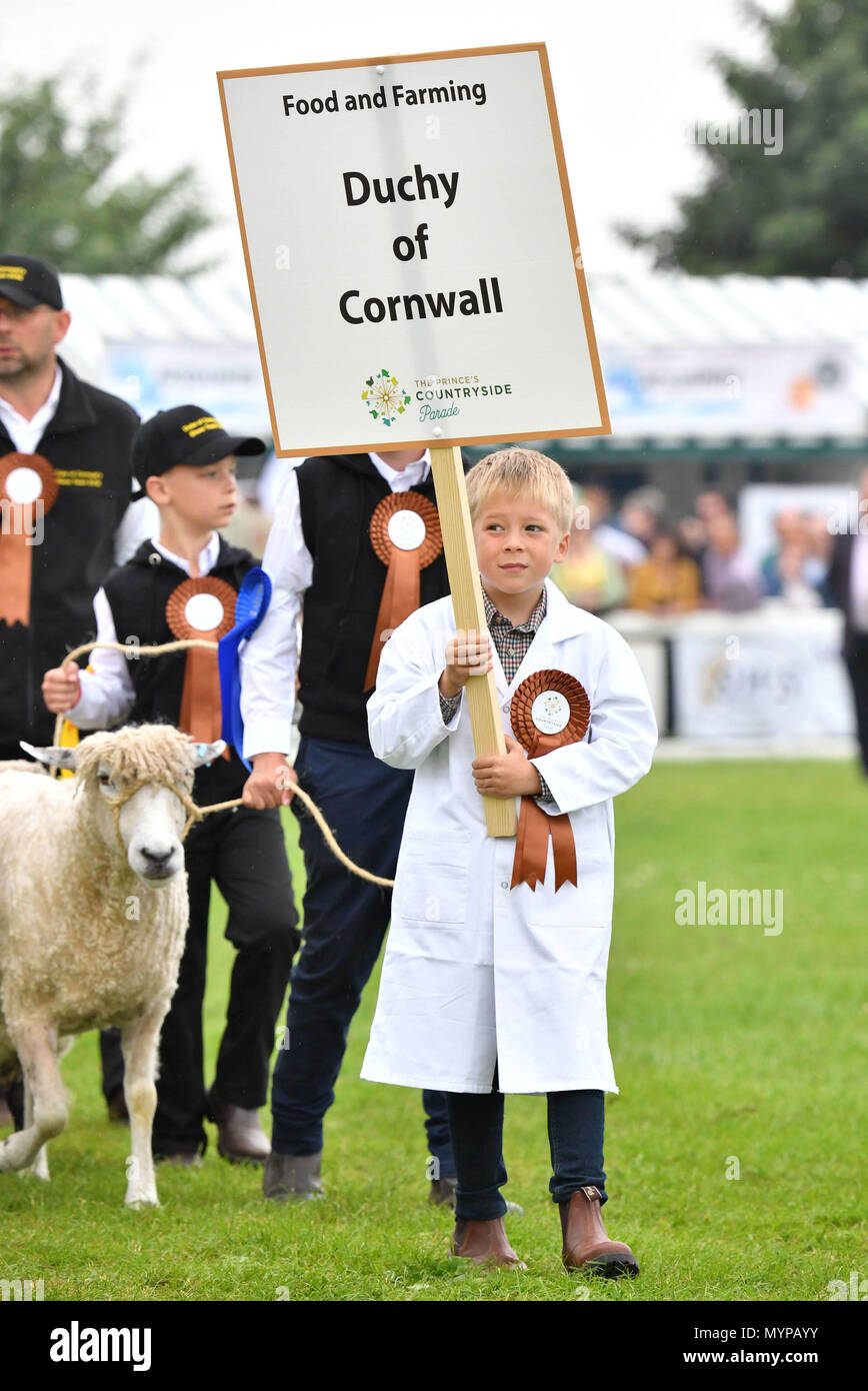 A parade of sheep during a visit to the Royal Cornwall Show at the ...