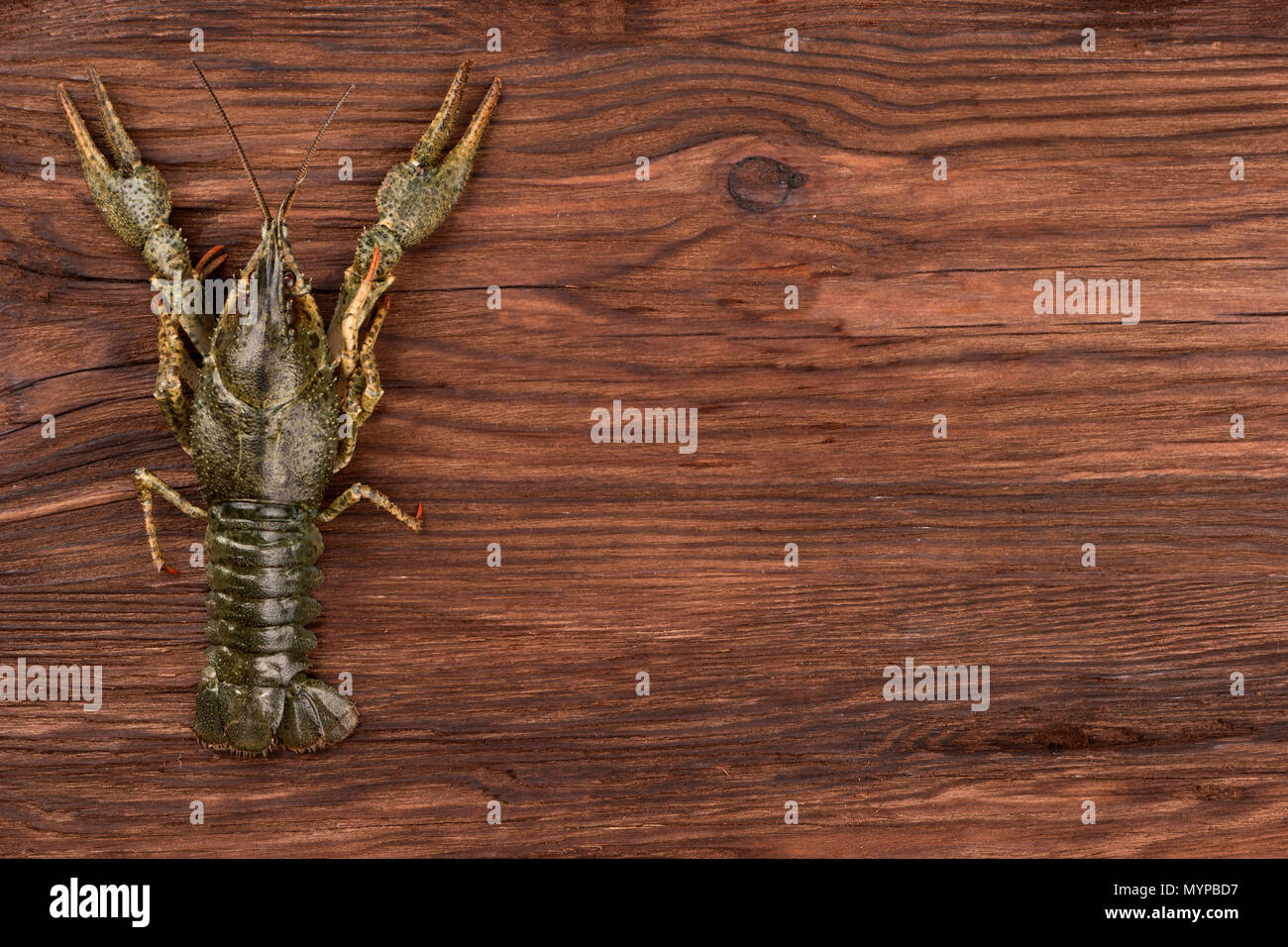 Live crawfish on an empty wooden background for an inscription Stock ...