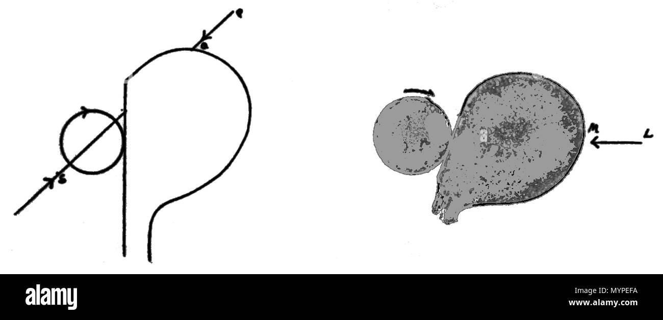 . English: Cross wind effect on slice direction 1 . 1910. Unknown 440 ...