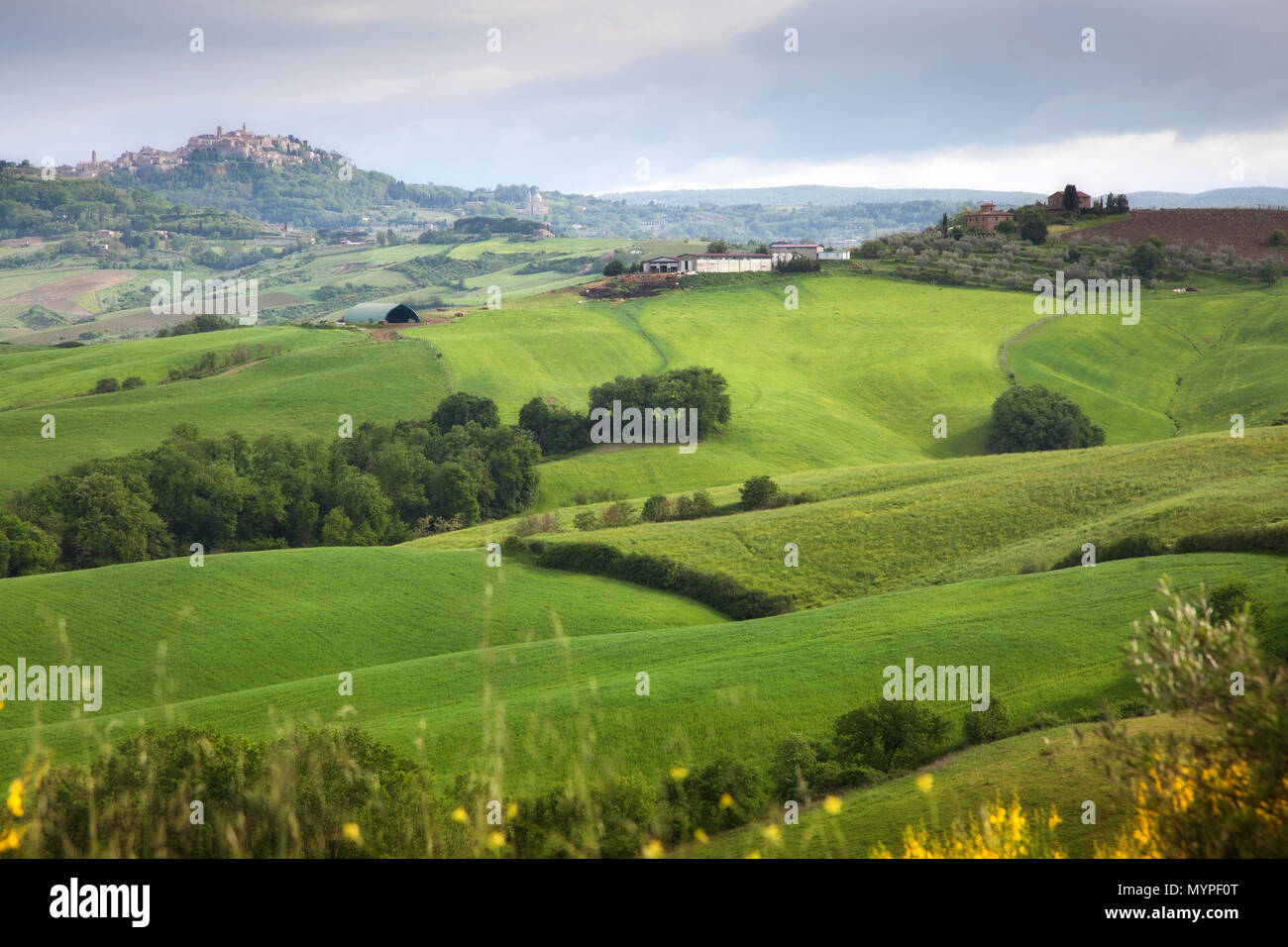 green summer landscape in tuscany, Italy Stock Photo - Alamy