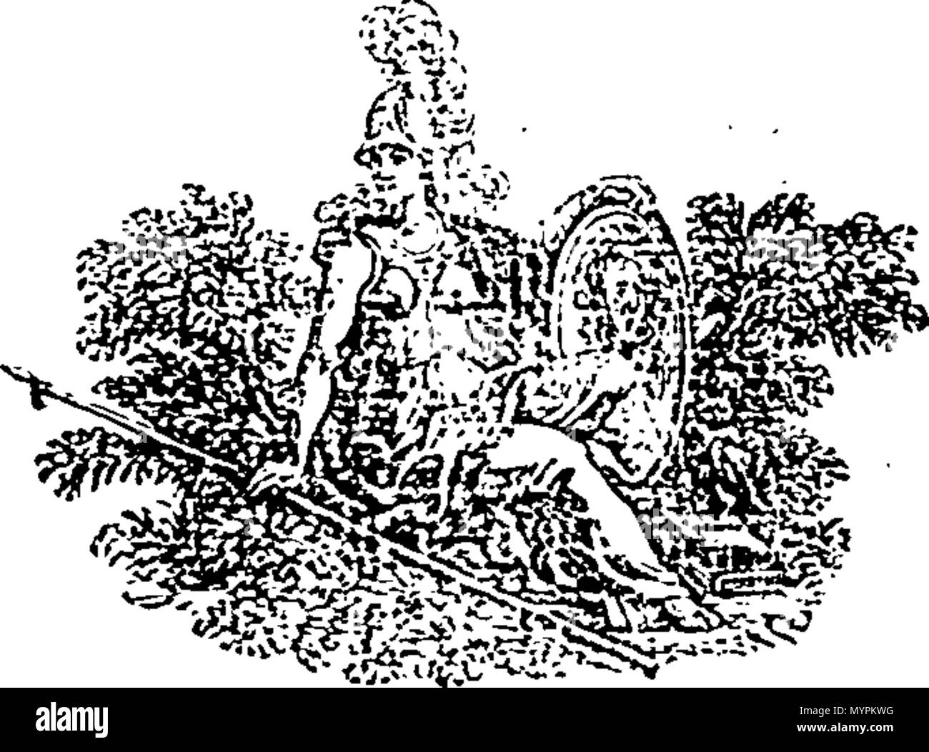 Stillingfleet hi-res stock photography and images - Alamy