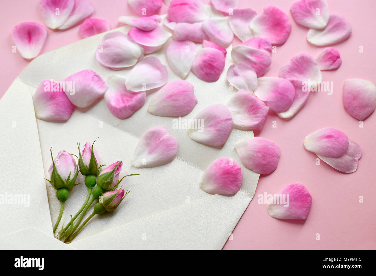 Cream wedding background hi-res stock photography and images - Alamy