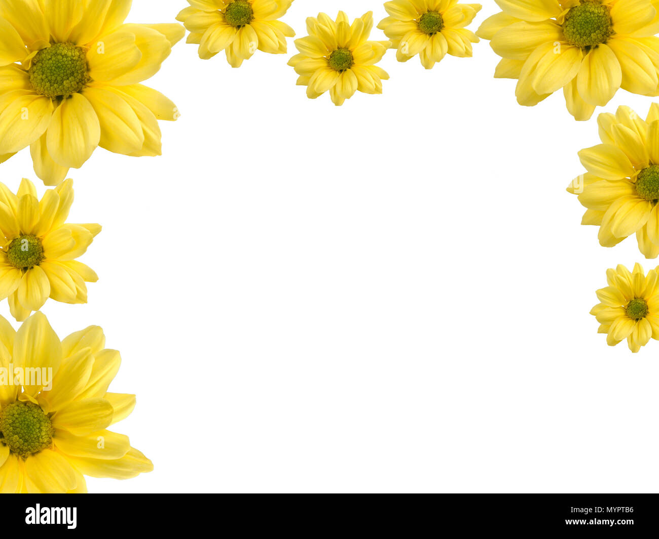 Beatiful border ( frame ) from gerberas for your spring designs Stock ...