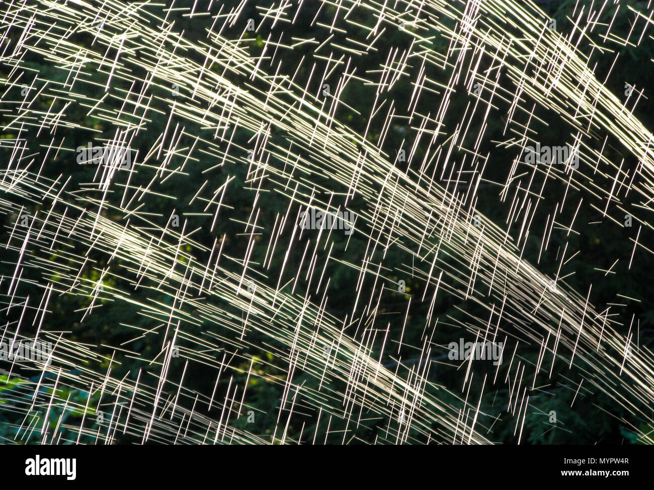 water sprinkler patterns in garden Stock Photo - Alamy