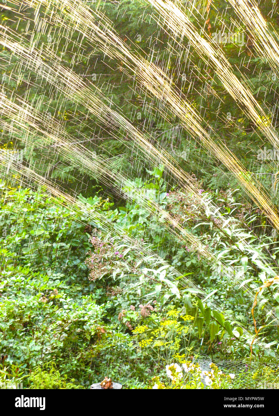 Sprinkler patterns hi-res stock photography and images - Alamy