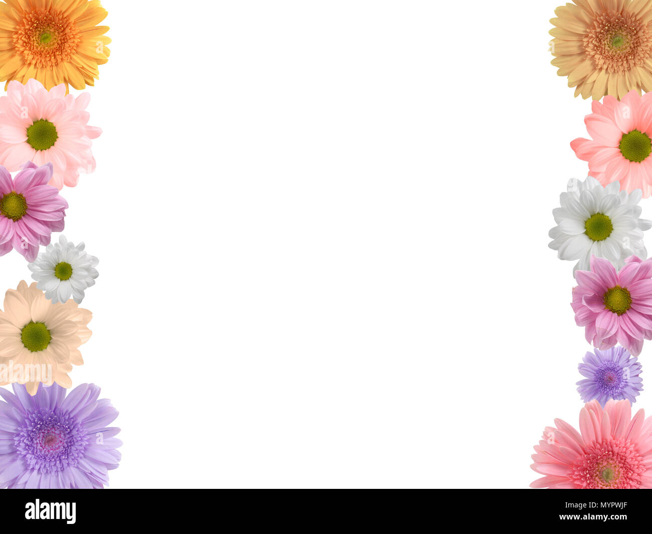 Beatiful border ( frame ) from gerberas for your spring designs Stock ...