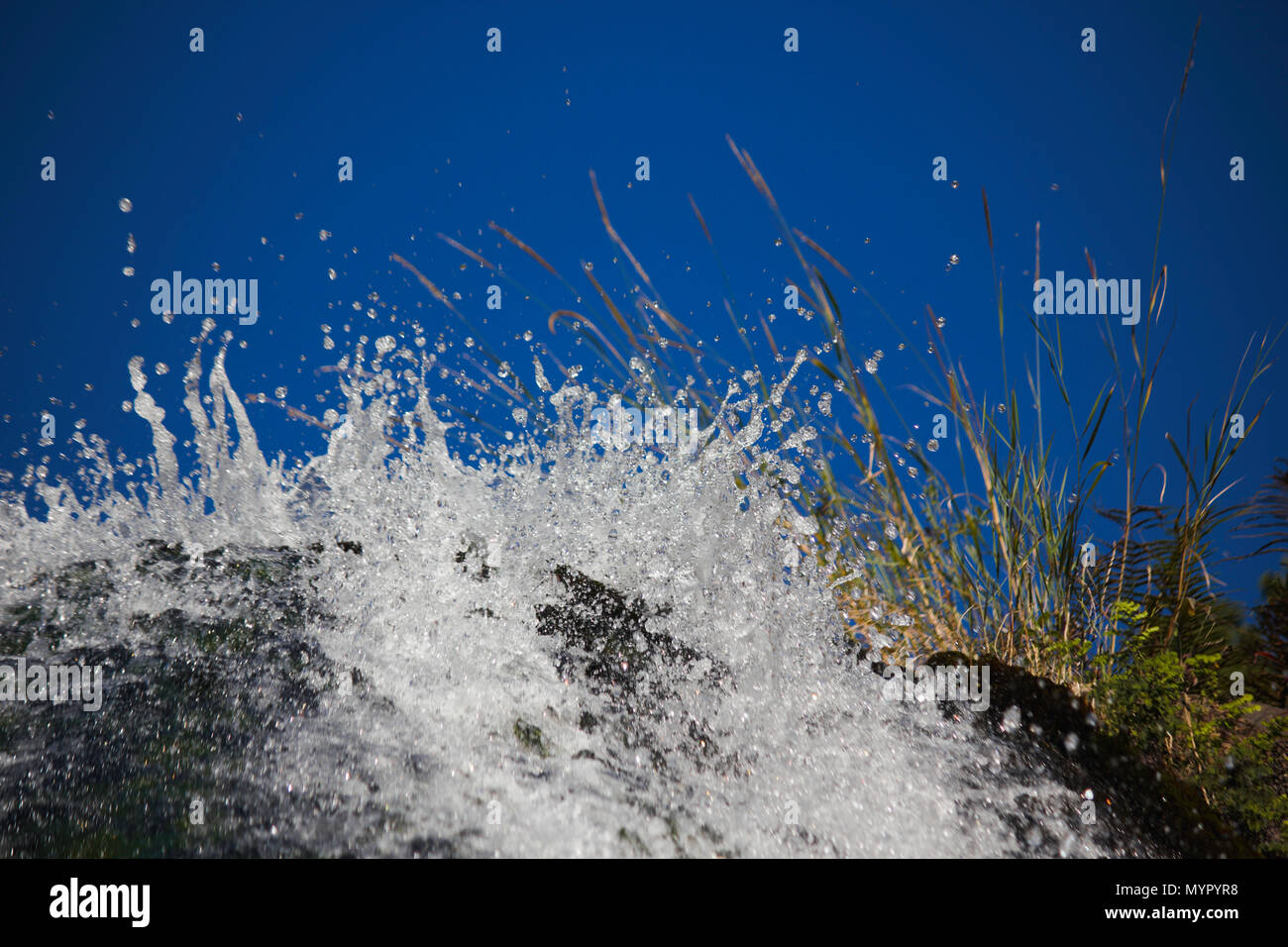 Dynamic water environment hi-res stock photography and images - Alamy