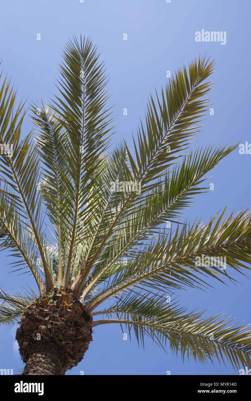 Low angle sky hi-res stock photography and images - Alamy