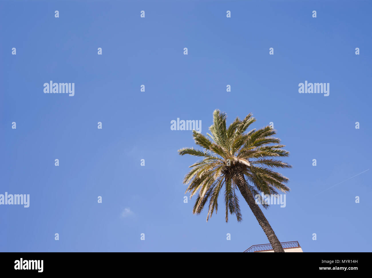 Low angle sky hi-res stock photography and images - Alamy