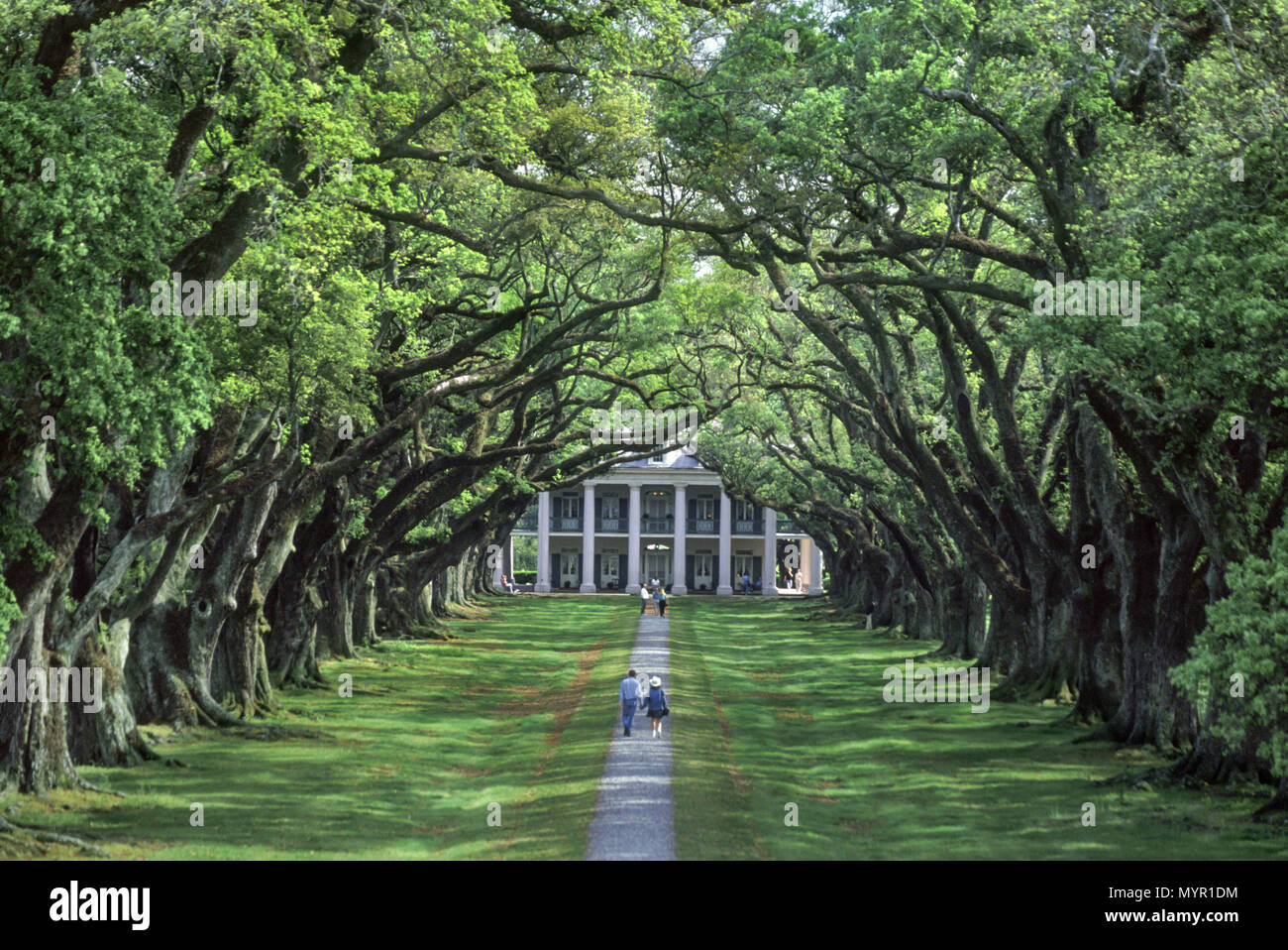 Oak alley plantation history hi-res stock photography and images - Alamy