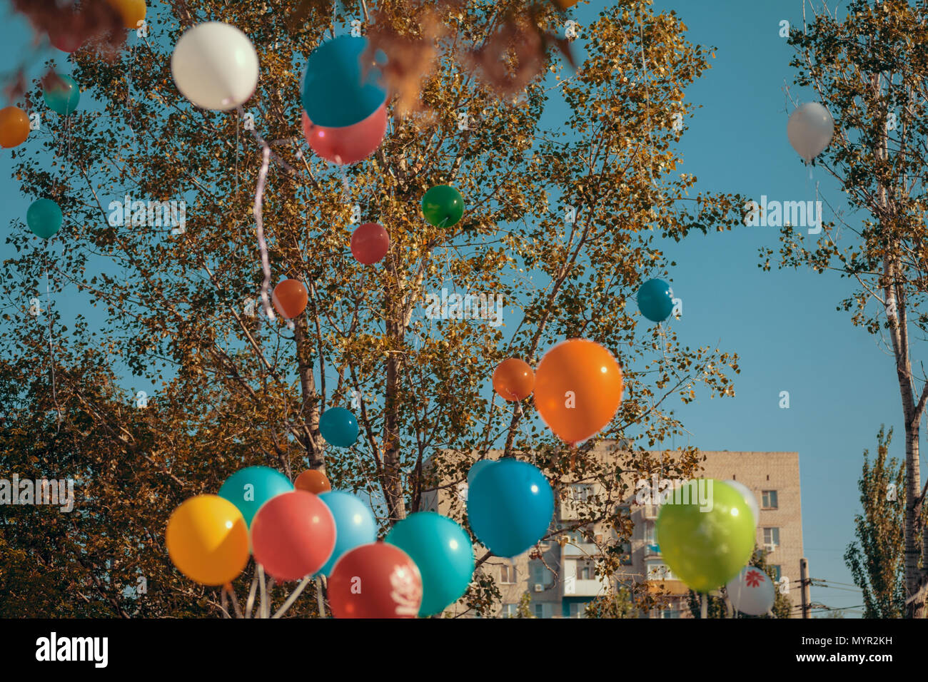 Balloons In Front Of trees Stock Photo - Alamy