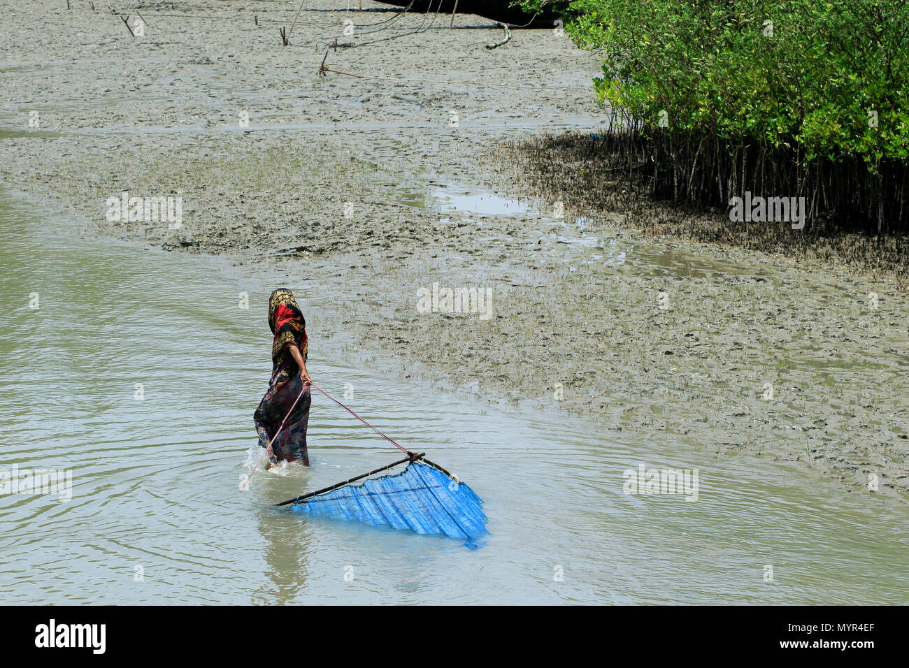 Occupation livelihood hi-res stock photography and images - Alamy