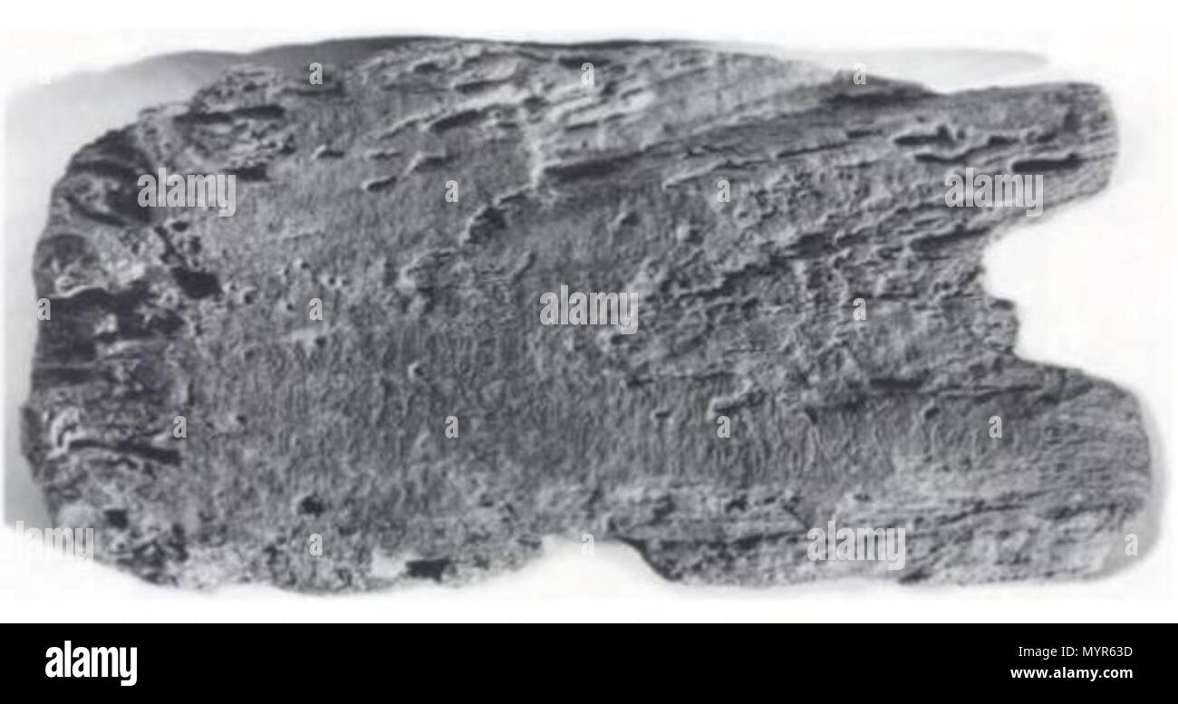 . One of 26 rongorongo tablets that may be authentic. before 1860 ...