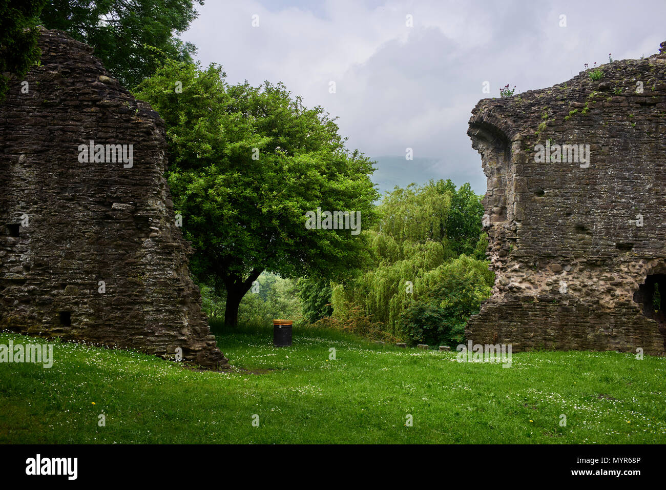 Bin placement hi-res stock photography and images - Alamy